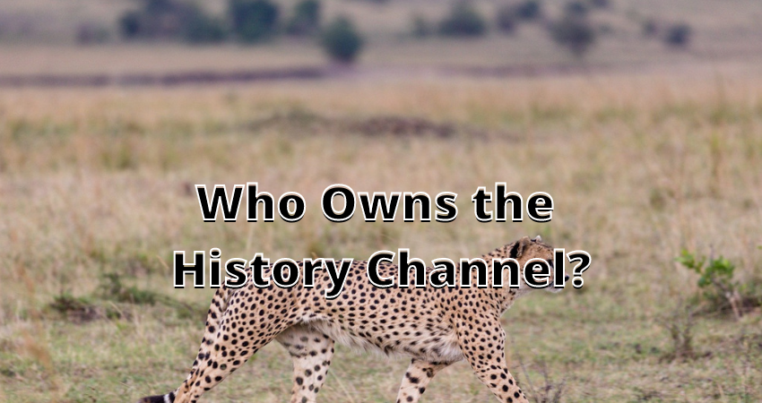 Who Owns the History Channel?